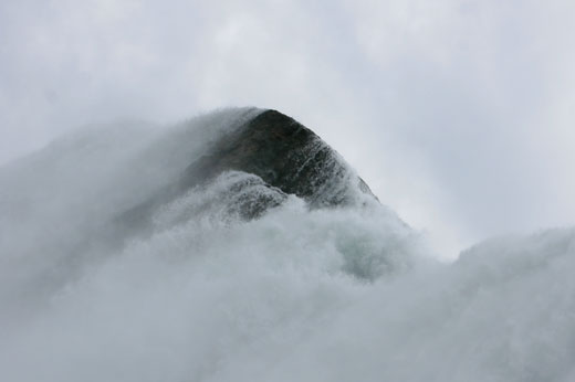 Macros: Water, Flower, Shofar – Leora Wenger