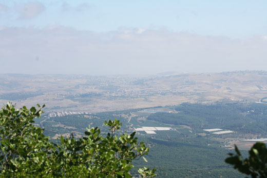 Flora of Mount Meron, Israel – Leora Wenger