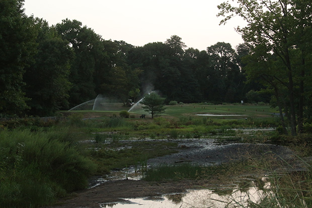 Swamp, Lake or Golf Course? – Leora Wenger