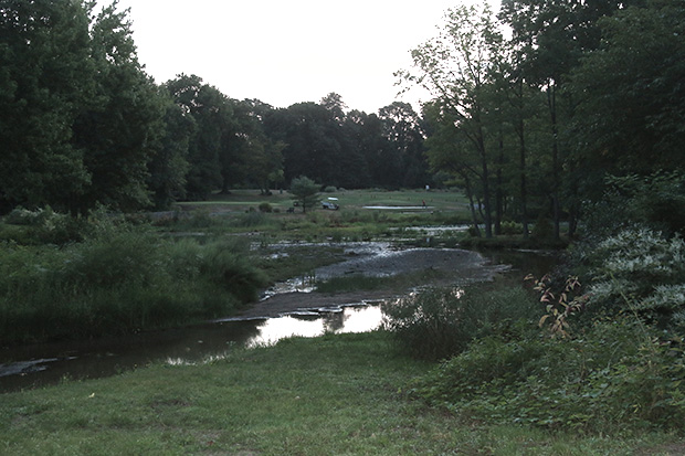 Swamp, Lake or Golf Course? – Leora Wenger